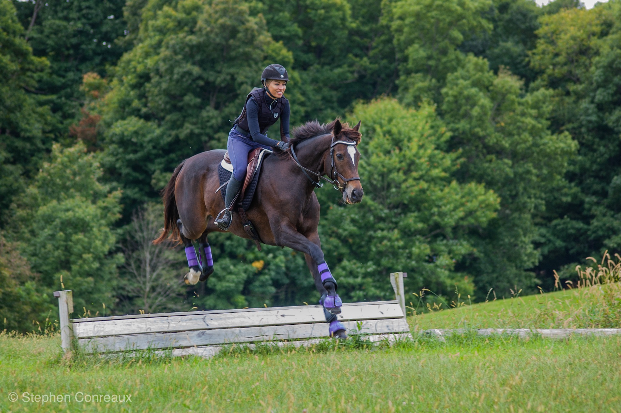 White Oak Stable – Horse boarding and lessons in fairfield county